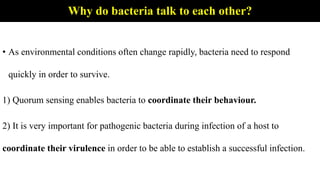Quorum sensing in plant pathogenic bacteria. Maruthi.pptx