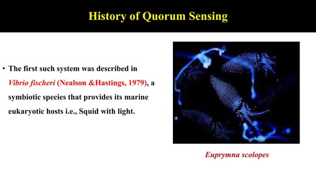 Quorum sensing in plant pathogenic bacteria. Maruthi.pptx