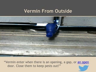 Quotes of Pestec IPM | PDF