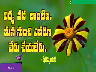 Proverbs On Education In Telugu