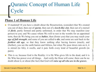 Quranic concept of human life cycle | PDF