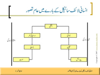 Quranic concept of human life cycle urdu | PDF