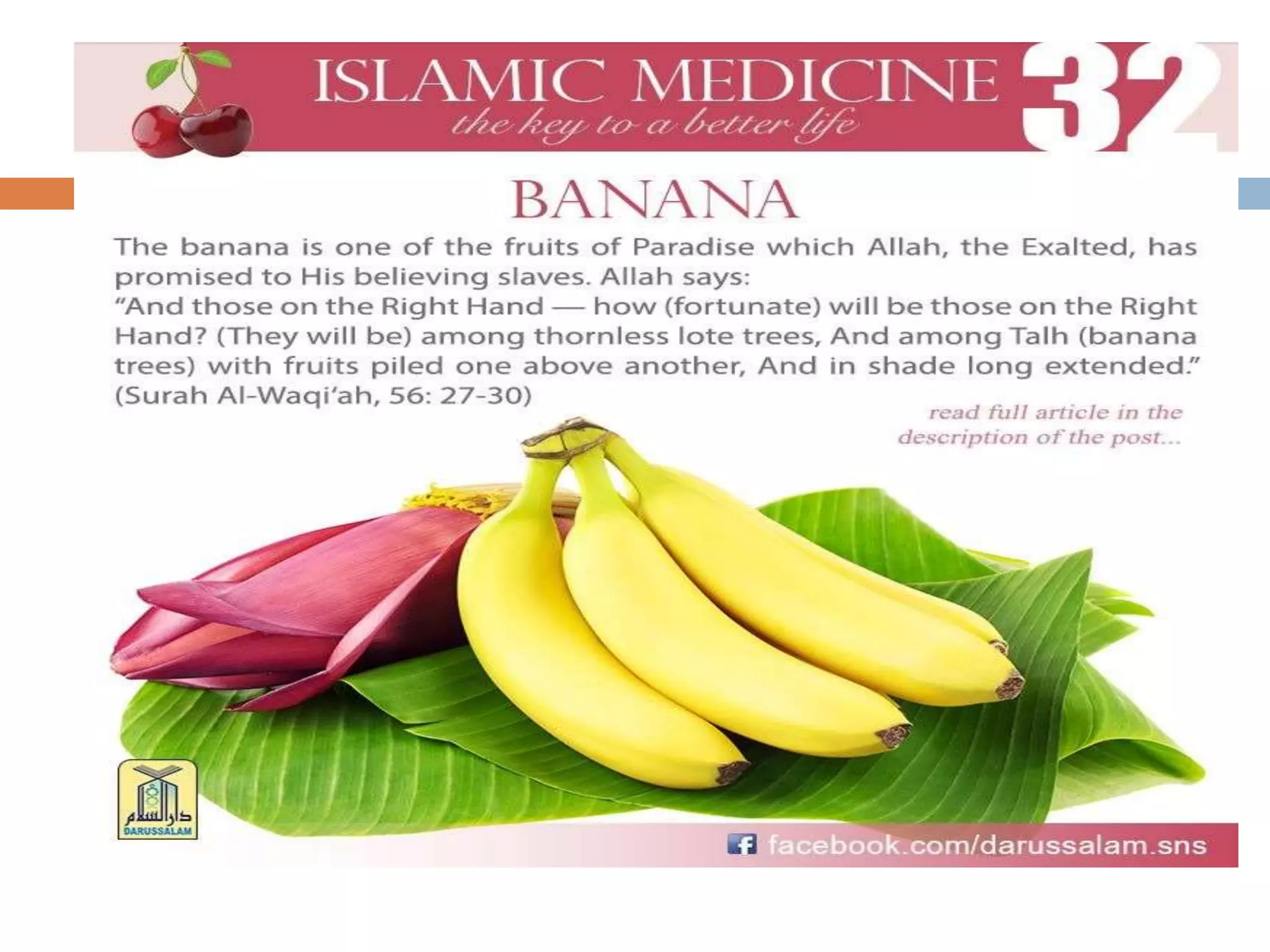 Quranic plants by Allah Dad Khan | PPTX