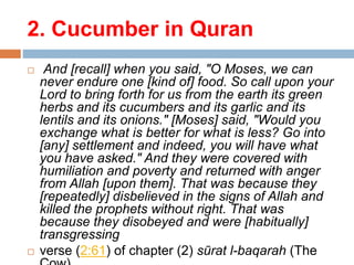 Quranic plants by Allah Dad Khan | PPTX