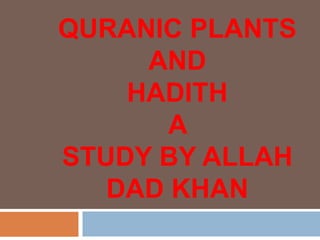 Quranic plants and hadith By Allah Dad Khan | PPT