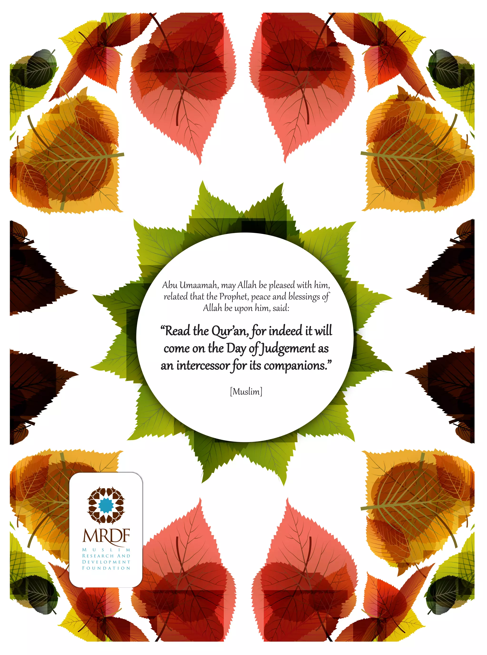 Summary of Quran | PDF