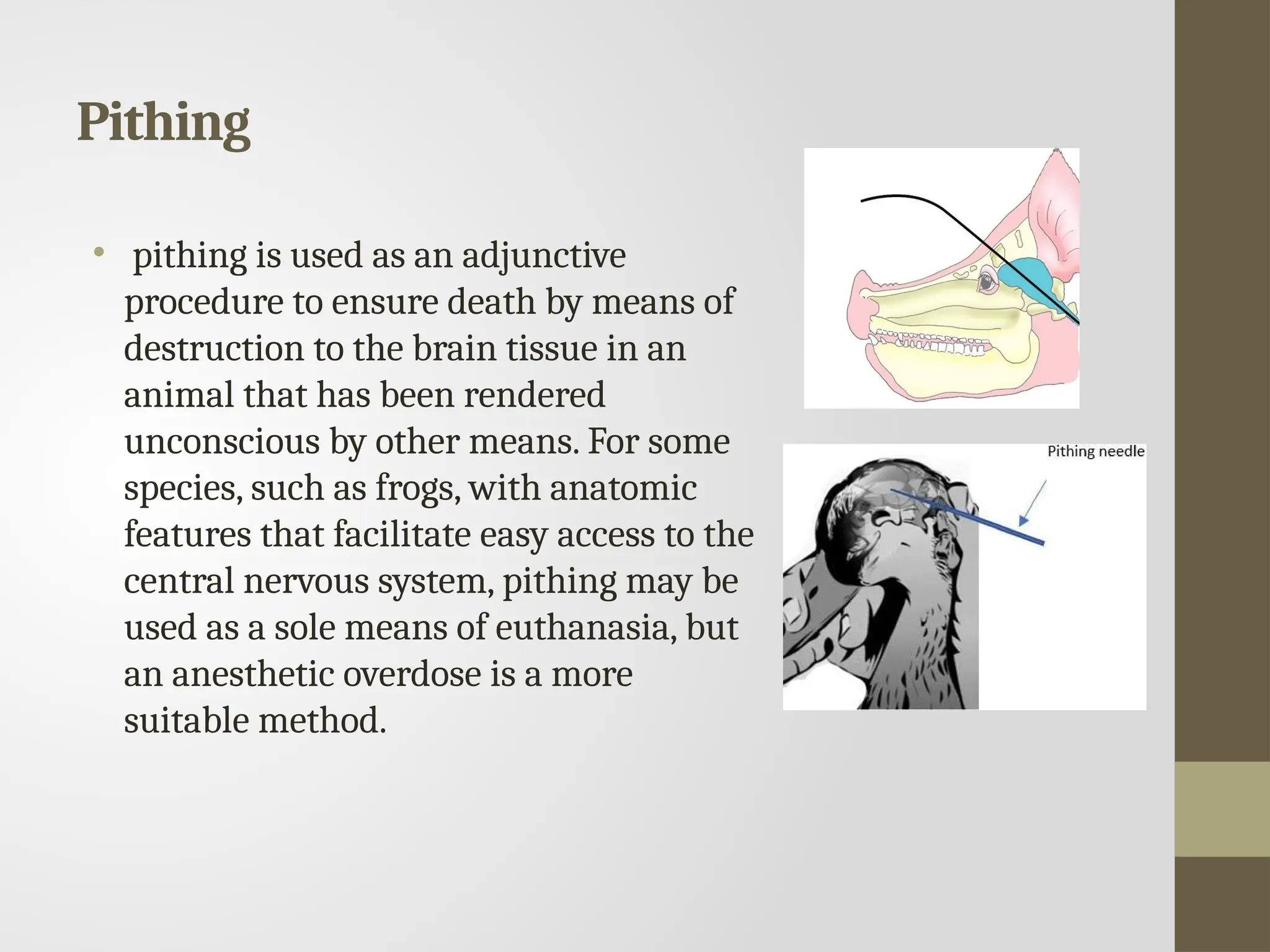 pptptttkjgkvvkkvmvkvvvvvvvvvvmvmmvvmvmmv | PPTX