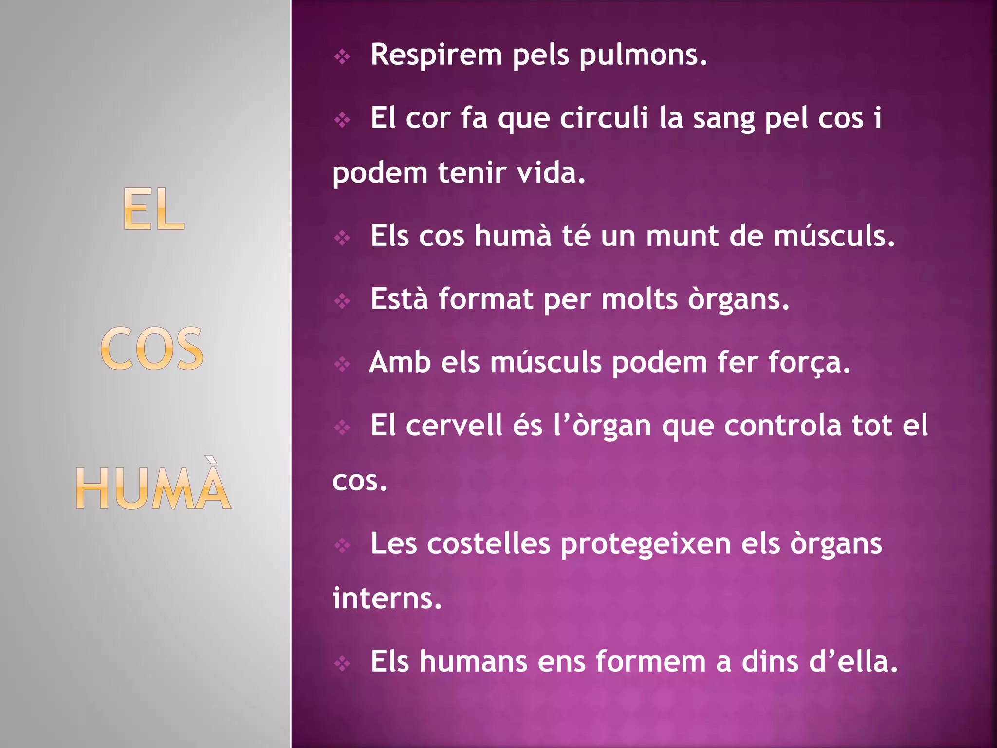 Què sabem del cos humà | PPTX