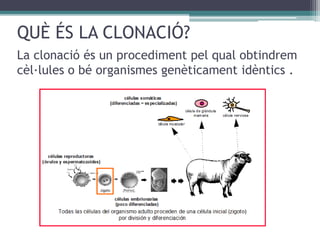Clonació | PPTX