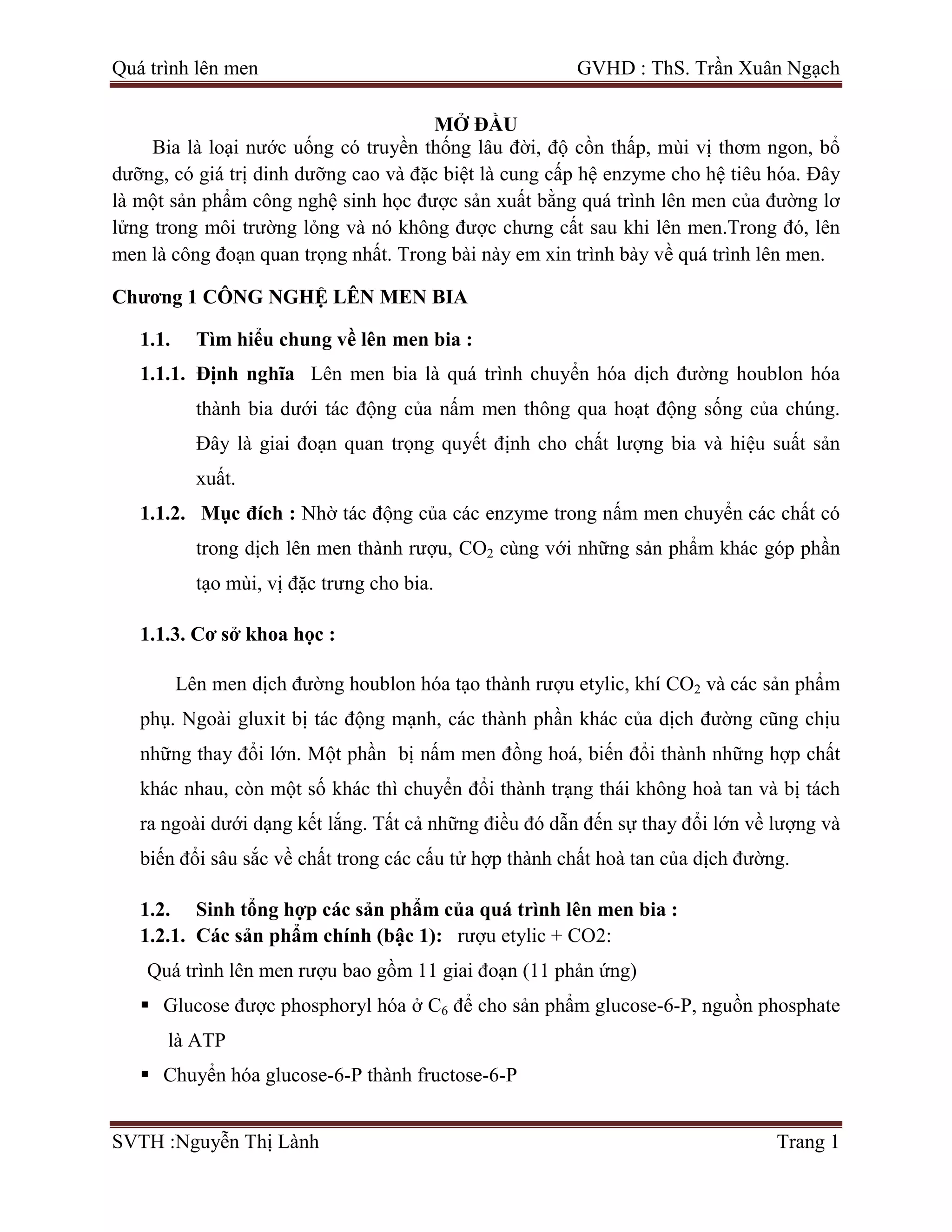 Quá trình lên men bia | DOCX