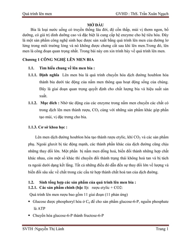 Quá trình lên men bia | DOCX