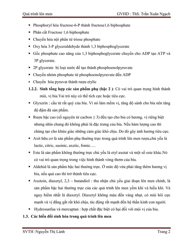 Quá trình lên men bia | DOCX