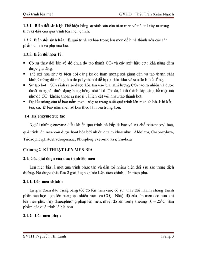 Quá trình lên men bia | DOCX