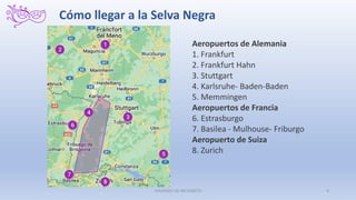 Qué Ver En La Selva Negra.pdf