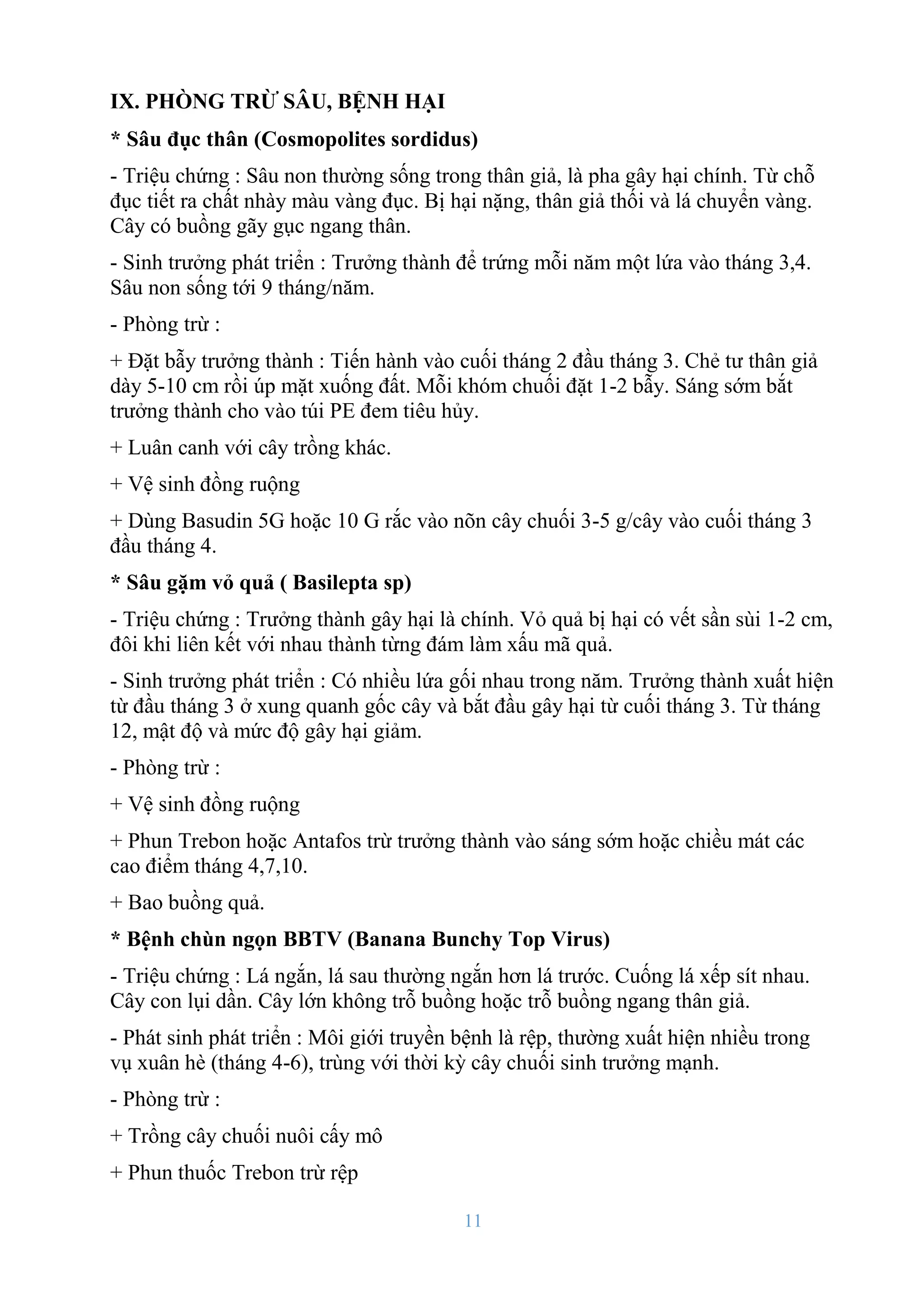 Quy trình kỹ thuật trồng chuối.pdf