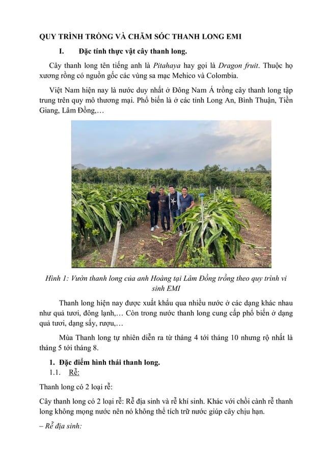 QUY TRÌNH TRỒNG VÀ CHĂM SÓC THANH LONG EMI.pdf