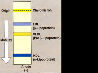 Lecture 9. metabolism of lipids (2) | PPT