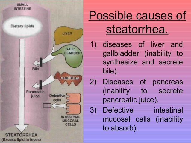 Lecture 9. metabolism of lipids (2)
