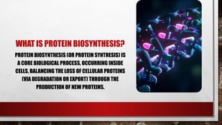 Lesson-12-Protein-Biosynthesis-Revised.pptx