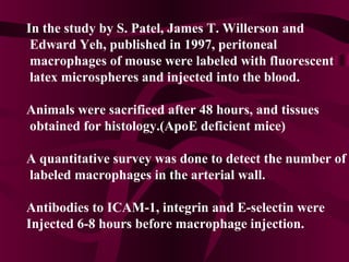 Monocyte recruitment into atherosclerotic plaques | PPT