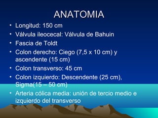 Cirugia del cáncer de colon y recto | PPT
