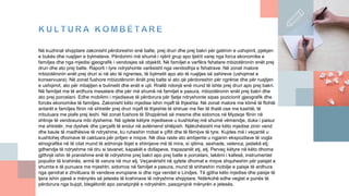 Qytetaria 8 portofoli Ideart | PPTX