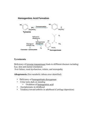 Part2 dental Amino Acid Metabolism 2012-1 | PDF