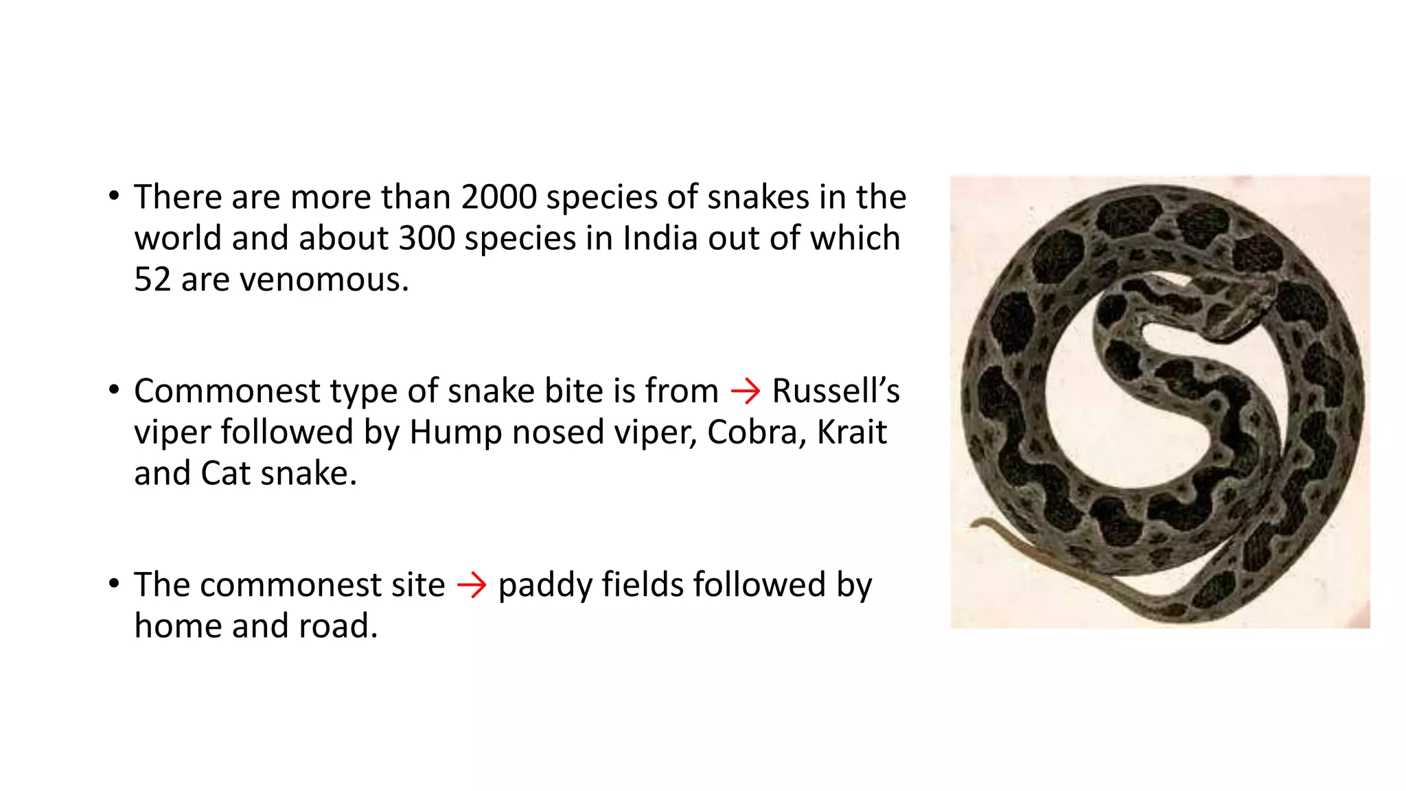 snake bite management | PPTX