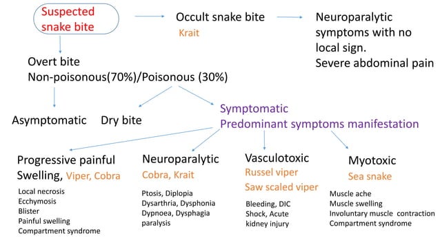 snake bite management | PPTX