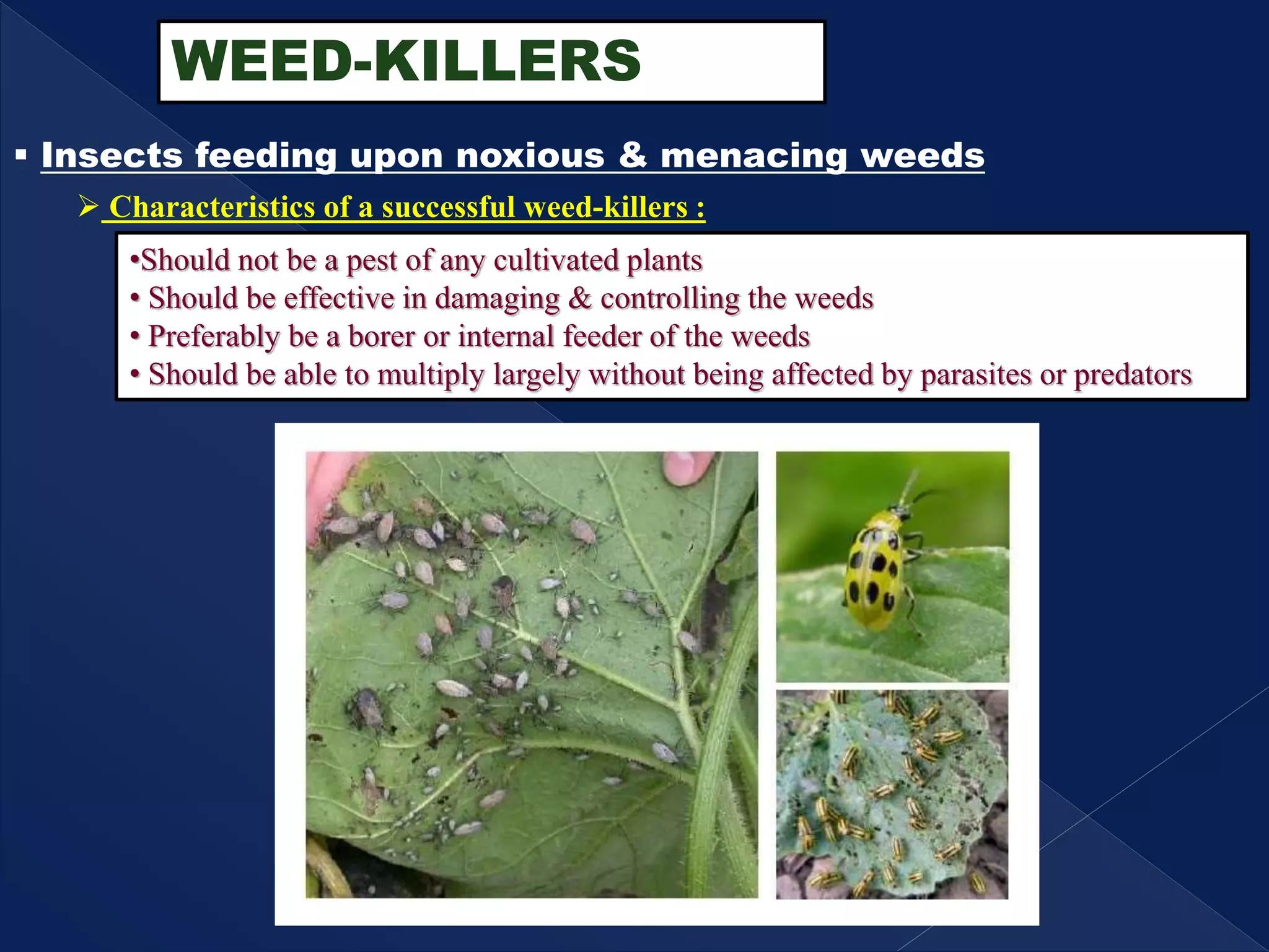 Identification of common natural enemy of crop pests and weeds | PPTX