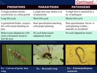 Identification of common natural enemy of crop pests and weeds | PPTX