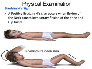 Meningitis (According to Modern & Unani Medicine) | PPT