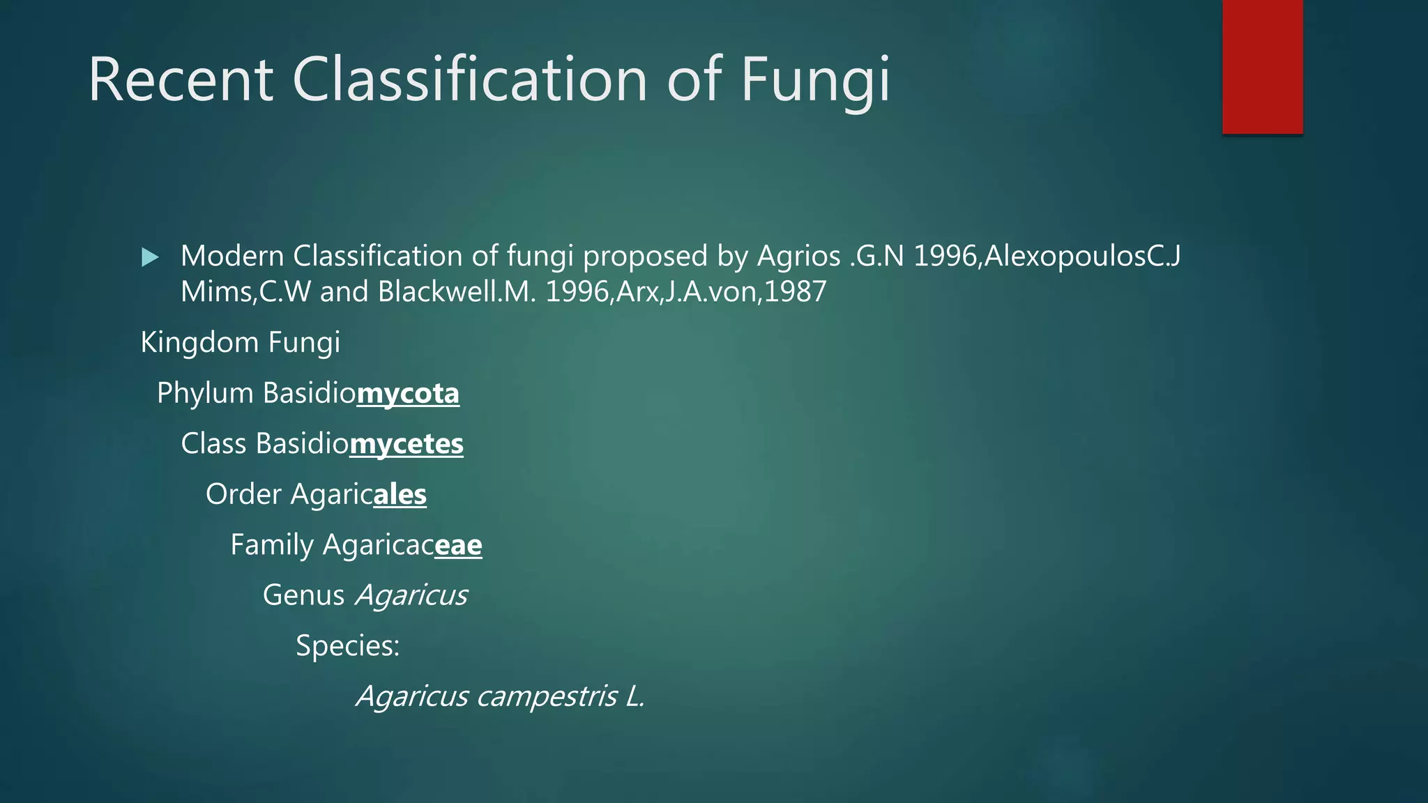 R.P Maurya ppt on CLASSIFICATION OF FUNGUS | PPT