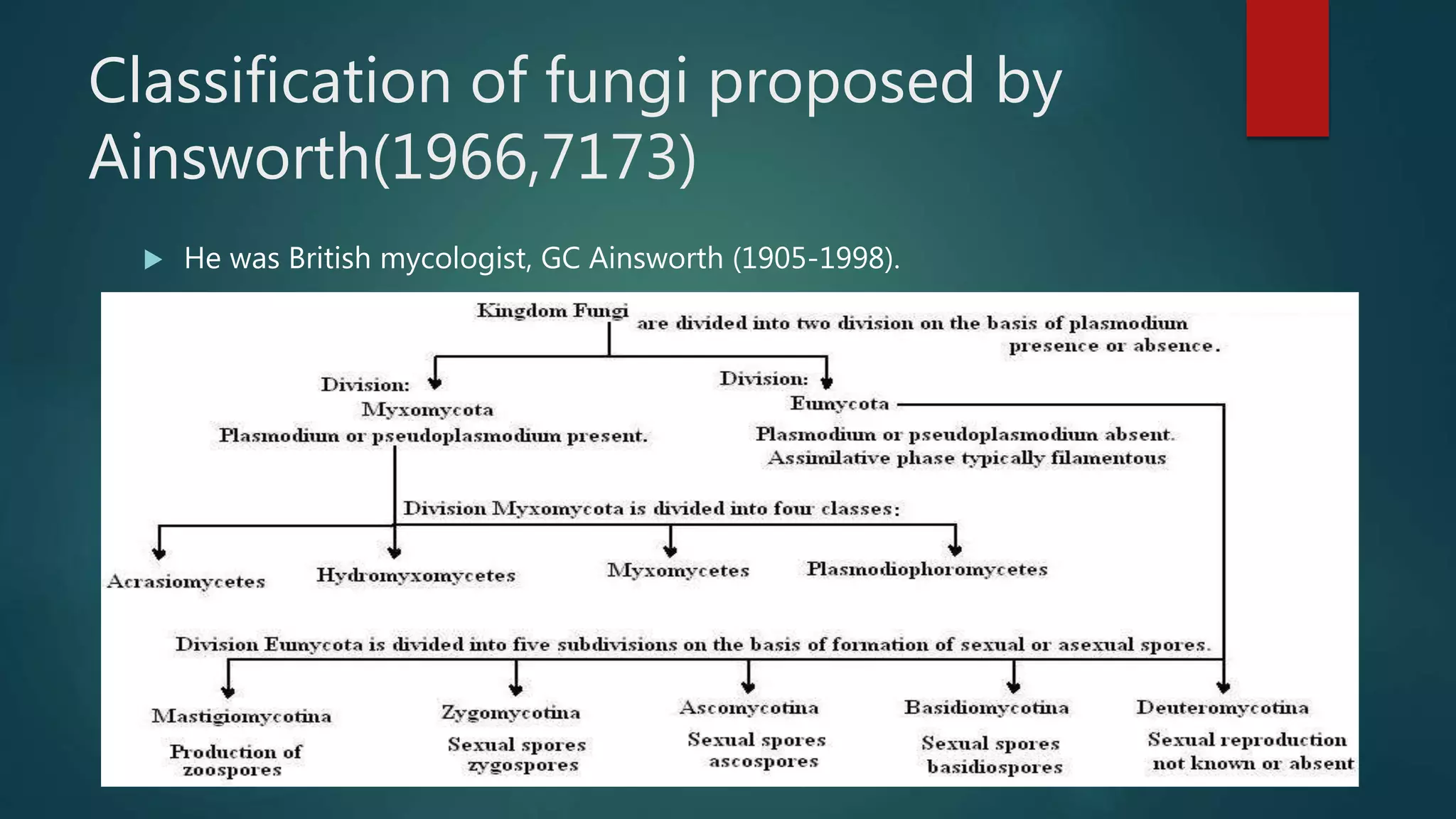 R.P Maurya ppt on CLASSIFICATION OF FUNGUS | PPT