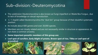 R.P Maurya ppt on CLASSIFICATION OF FUNGUS | PPT