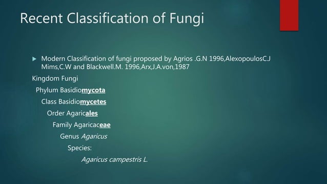 R.P Maurya ppt on CLASSIFICATION OF FUNGUS | PPT
