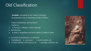 R.P Maurya ppt on CLASSIFICATION OF FUNGUS | PPTX