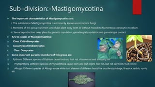 R.P Maurya ppt on CLASSIFICATION OF FUNGUS | PPTX
