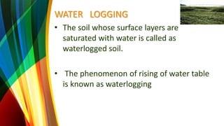 R.raman abiotoc | PPT