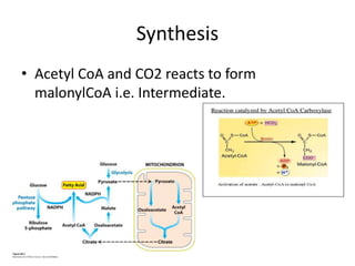 Reductive biosynthesis | PPTX