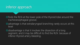 Recurrent laryngeal nerve | PPTX