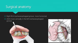 Recurrent laryngeal nerve | PPTX