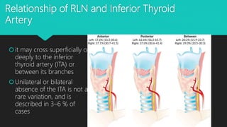 Recurrent laryngeal nerve | PPTX