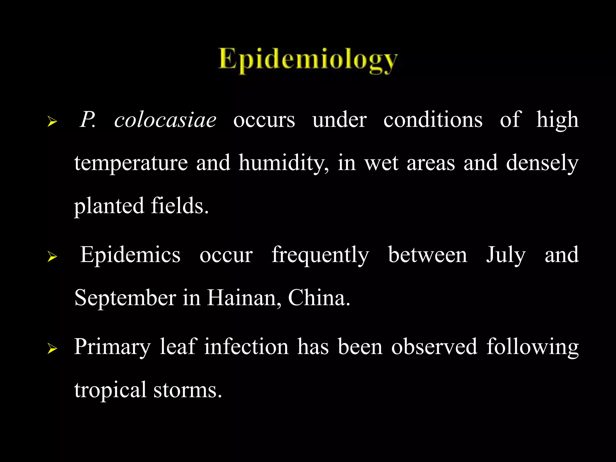 DISEASES OF ELEPHANT FOOT YAM | PPTX