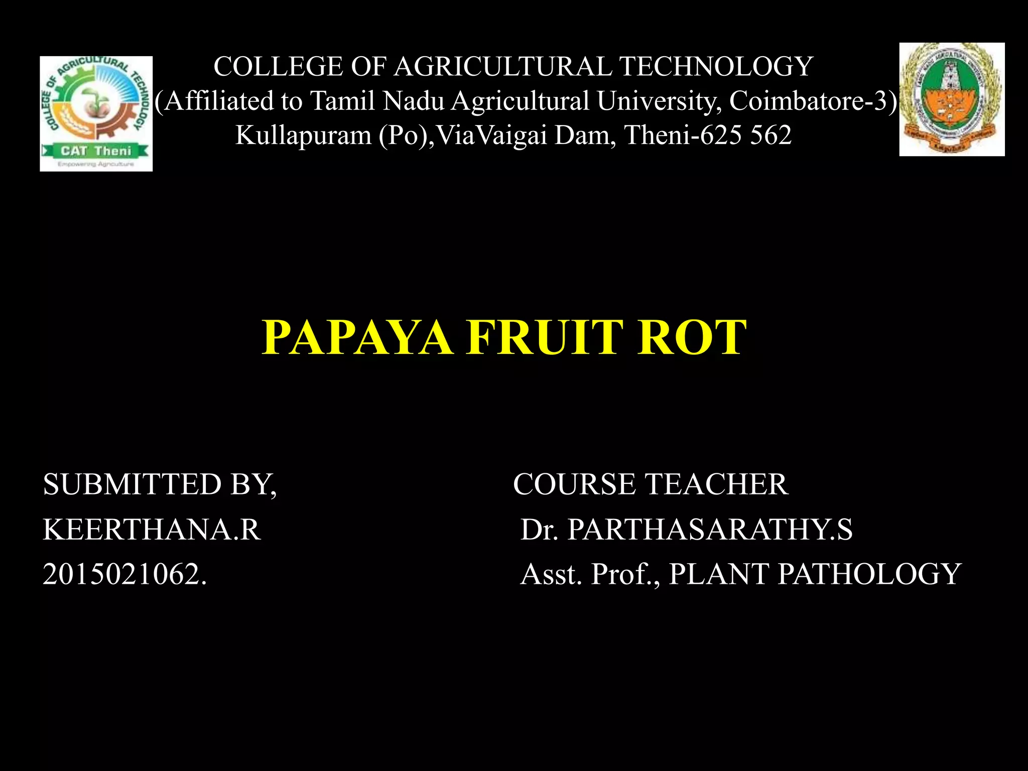 Papaya Fruit Rot | PPTX