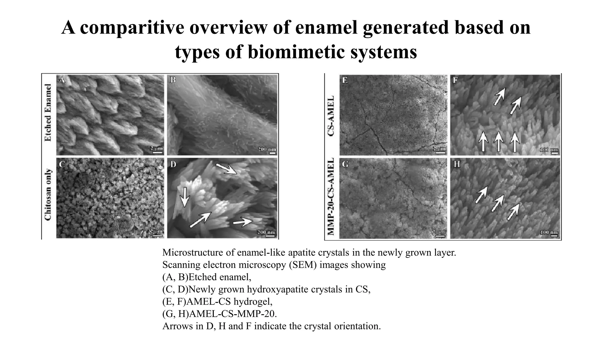 Enamel Biomimetics- Regenerative dentistry | PPTX