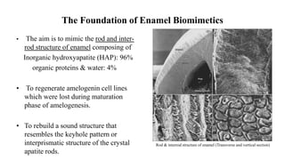 Enamel Biomimetics- Regenerative dentistry | PPTX
