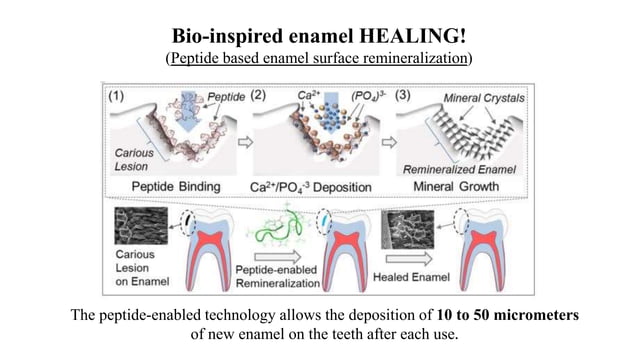 Enamel Biomimetics- Regenerative dentistry | PPTX
