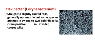 R. AVANTHIKA.pat.pptx