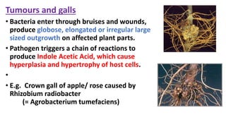 R. AVANTHIKA.pat.pptx